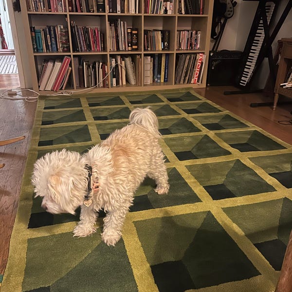 Hand Tufted Green Rug Modern High Low Rug Pebble Rug Multi Colored Rug ...