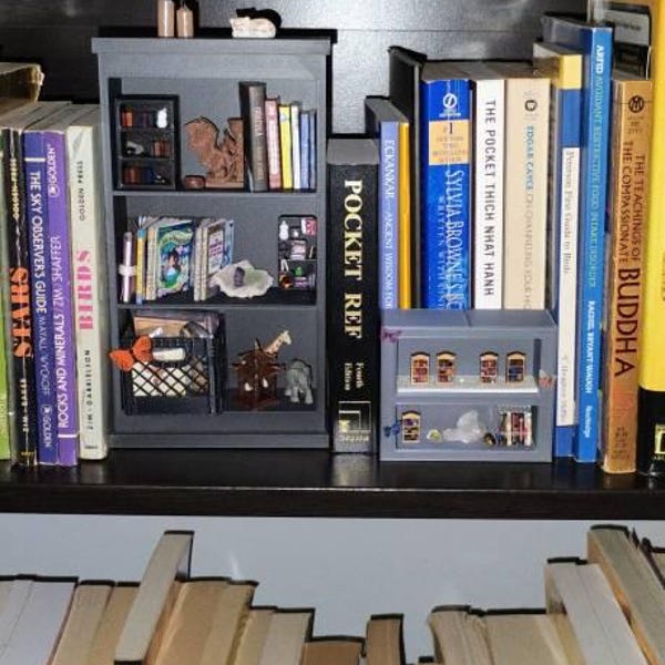 Mini Bookshelf for Mini Book Collection Perfect for Your Mini Books ...