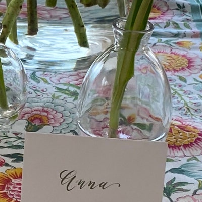 Large left Handed Lightning Whelk Shell 6 - Etsy