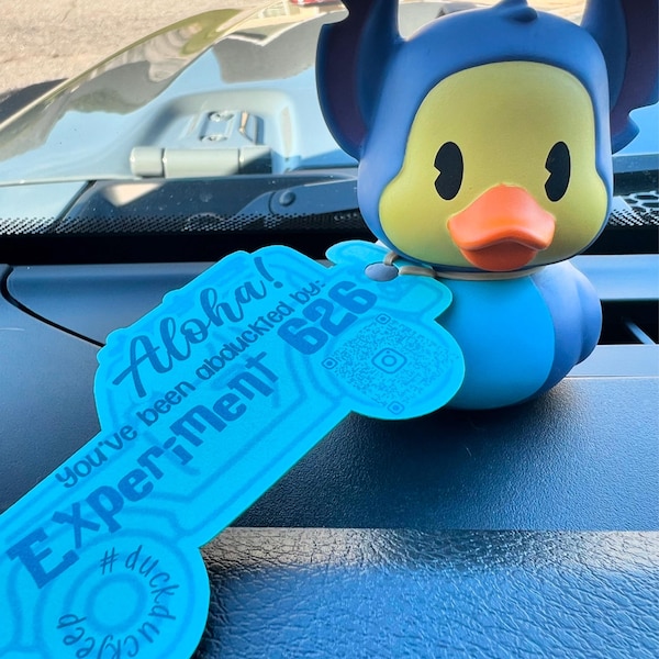 Cruising Ducks Life Preserver Personalized Tags - Etsy