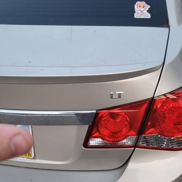 Rey Fox From "the Otherside Show" Print (4x6) - Etsy