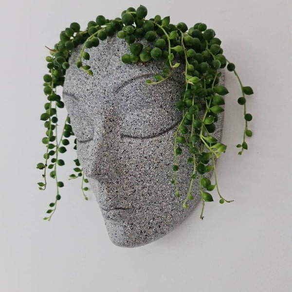 Handmade Human Face Wall Planters - Creative Plant Display - Face Plant ...