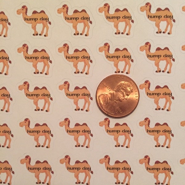 Camel Hump Day Planner Stickers, 20 or 64 Count - Stickers for Planners ...