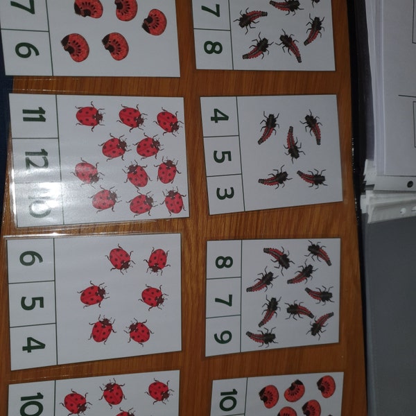 Ladybug Anatomy & Life Cycle for Kids: Montessori Cards (editable PDF ...