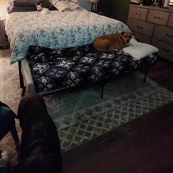 Wooden Elevated Dog Bed Extension - Easy Assembly. No Tools Required - Etsy