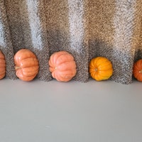 Moranga Squash (semi-rare Heirloom/c.maxima/op) Seeds: Brazilian Squash ...