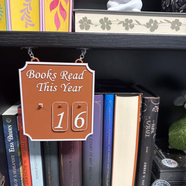 Hanging Bookshelf Counter Bookish Decor Books Read This Year Counter up ...