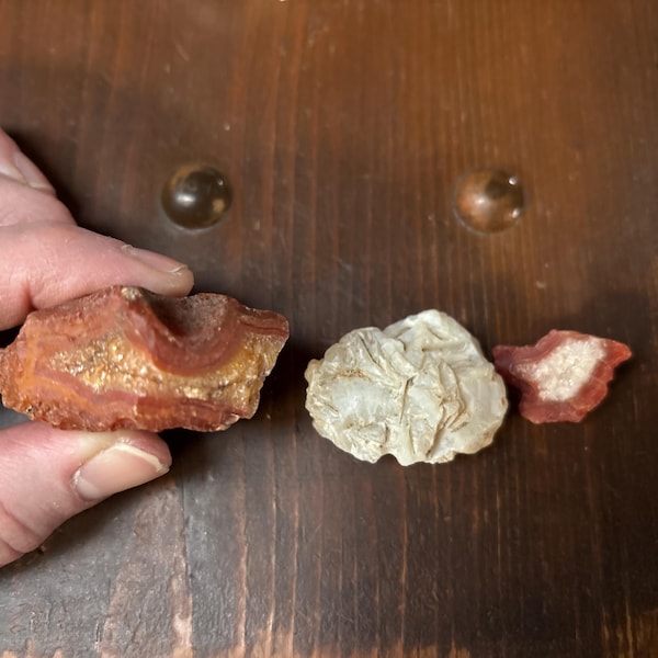 Carnelian Tube Agate Slab - SW Washington - Badger Slab - Etsy