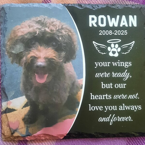 Personalized Pet Memorial Gift, Custom Pet Photo Glass Engraved, Pet ...