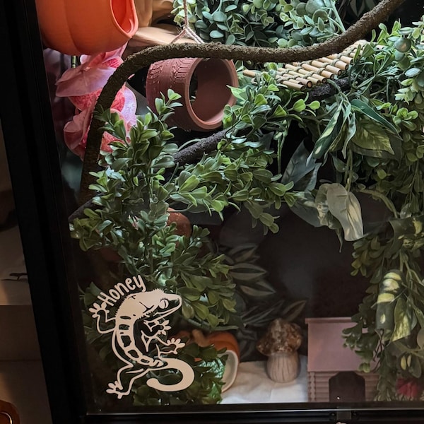 Cuvier's Dwarf Caiman Customizable Decal, Gift Crocodilian Sticker for ...