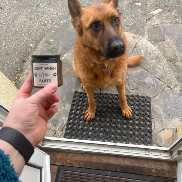 Middle Finger Candle - FU Candle, Teen Room Decor, Room Decor, Candle ...