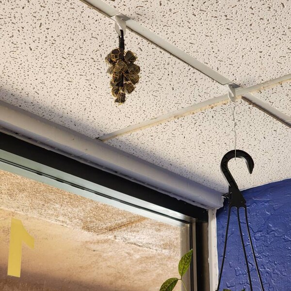 500 Beads Natural Lapis Lazuli Crystal Tree With Golden Wiring | Wisdom ...