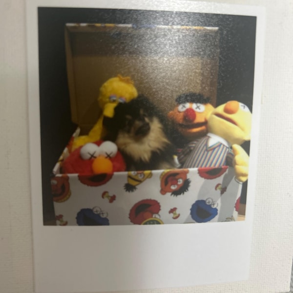 Button Magnets Square Magnets Fridge Custom Photo Magnet 2x2 Fridge ...