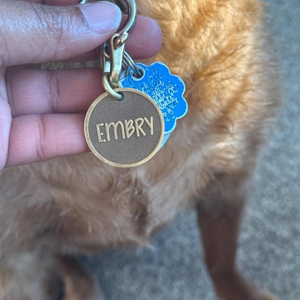 Brass Dog Tag, Personalized Brass Pet ID Tag, Custom Cat Tag, Unique ...