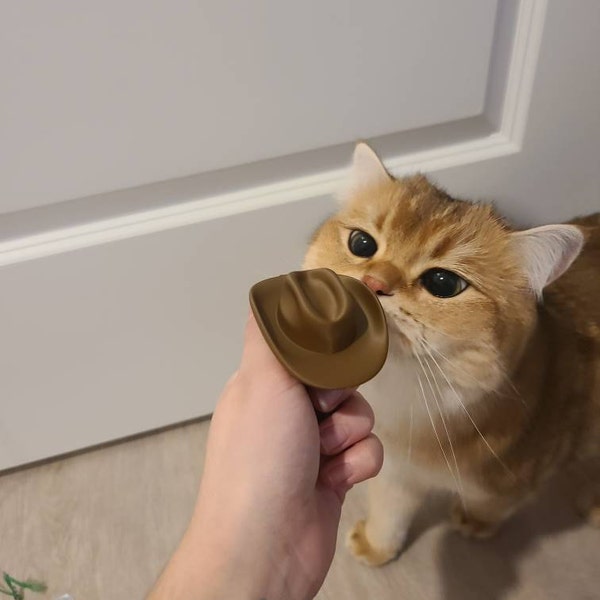 Cowboy Hat Attachment for Headset, Gaming and Streaming Headset ...