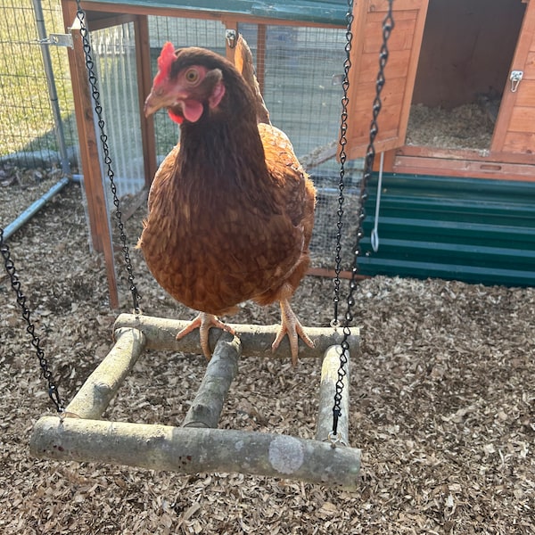 Extra Large Squirrel House, Squirrel Nesting Box, Wooden Squirrel ...