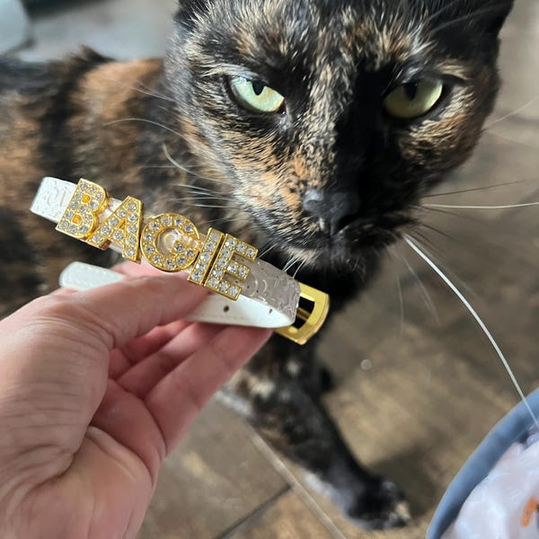 Personalised Fancy Cat Collar in White Custom Name Collar Gold Cat ...