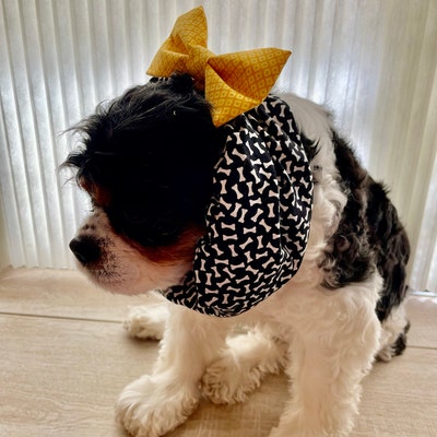 MINI FLOWER SPRING Adjustable Dog Snood: Protect Ears While Eating ...