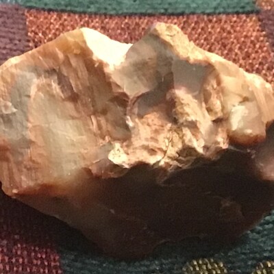 Rare Botryoidal Petrified Wood Chalcedony Agate Opal 200 Million Year ...