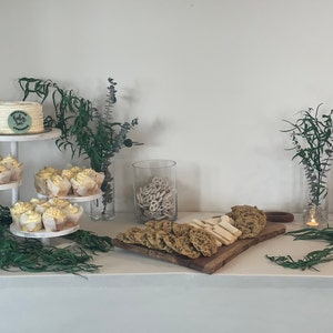 Dried Wheat Wheat Variety of Colors - Etsy