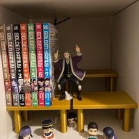 Shelf Riser for Displaying Two Rows of Books on a Single Shelf ...