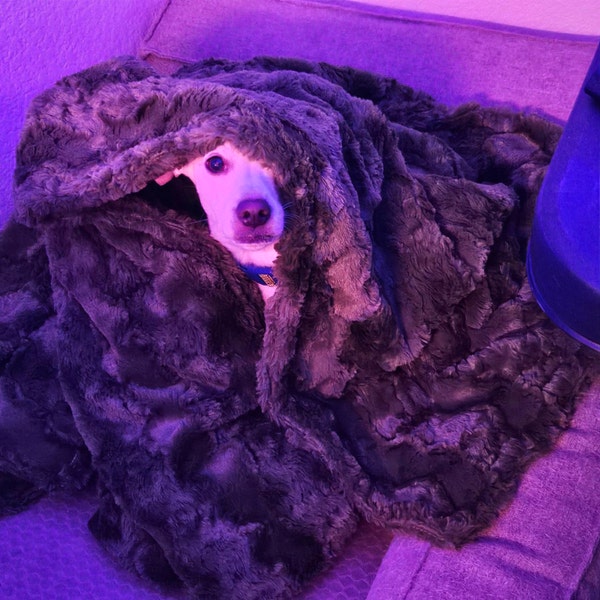 Adult Minky Blanket, Gifts for Mom - Moss Green Glacier, Adult Throw ...