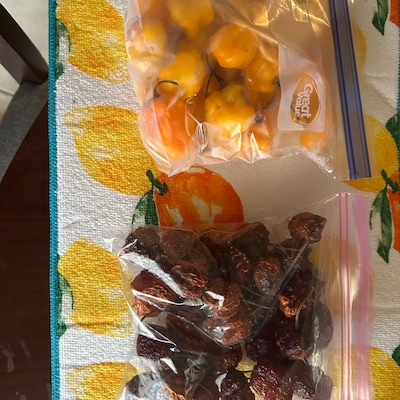 Trinidad Moruga Scorpion Pepper Dried Pods 15 Pods - Etsy