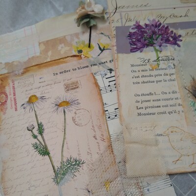 Botanical Journal Papers, Digital Flower, Floral Ephemera, Botanical ...