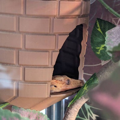 Crested Gecko and Frog Hanging Castle Tower Hide - Etsy