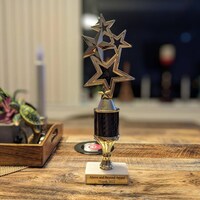 Ping Pong Trophy. Great Trophy for Your Summer Games, Bbqs, Parties ...