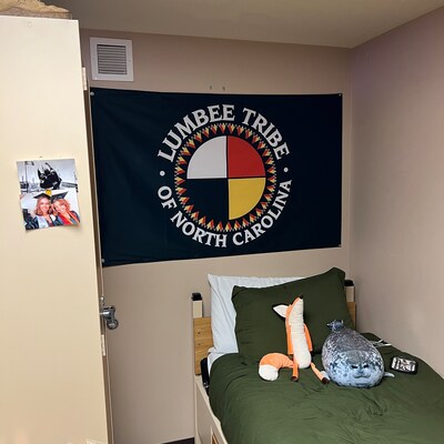 Anishinaabe Thunderbird Native American Flag 3x5 - Etsy