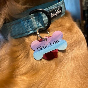 Spongebob Squarepants Collection Personalized Pet Tags, Dog Tags for ...