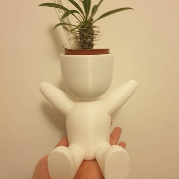 Fat Figure Planter | Planter | Desk Planter | Planter Pot | Gift ...