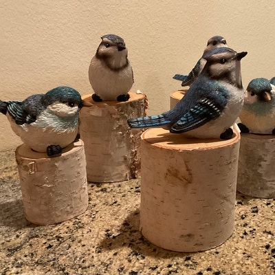 Thick Level White Birch Slabs, Dried Birch Tree Disk, Tree Slices ...