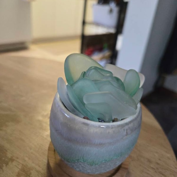 Hand Made Sea Glass Succulent - Etsy
