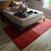 Buy New Designed Leopard Hand Tufted Carpet 100% Woolen Rug Online in ...