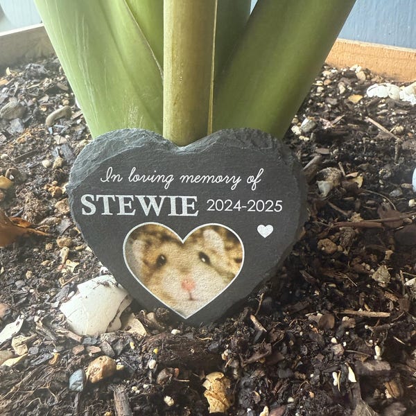 Personalized Rat Memorial Stone, Garden Stone, With Picture, Memorial ...