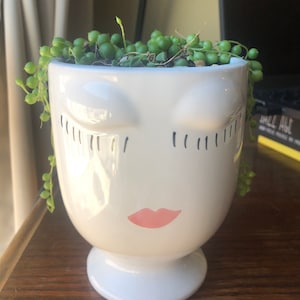 Medium Celfie Vase Face Pot Planter for Cacti or Succulent Plant Makes ...