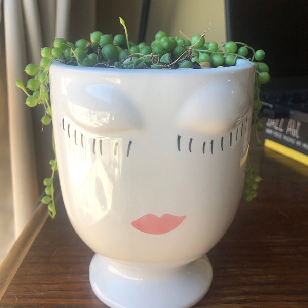 Medium Celfie Vase Face Pot Planter for Cacti or Succulent Plant; Makes ...