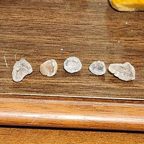 Bag of Tabasco Geodes Unopened (whole Geode) VERY SMALL GEODES - Etsy