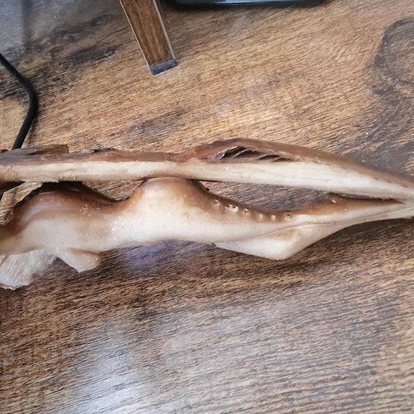 Gein Style Human Skin Lamp Shades Scary Skin Lamps - Etsy