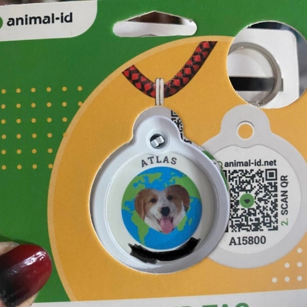 Silent Cat Id Tag QR Code, Personalized QR Code Cat Kitten Id Tag ...