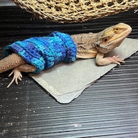 Custom Tortoise Diaper - Etsy