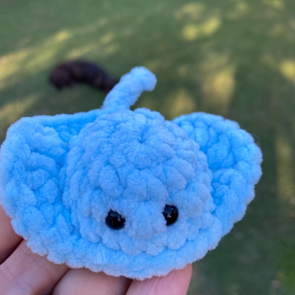 Mini Hammerhead Shark - Etsy