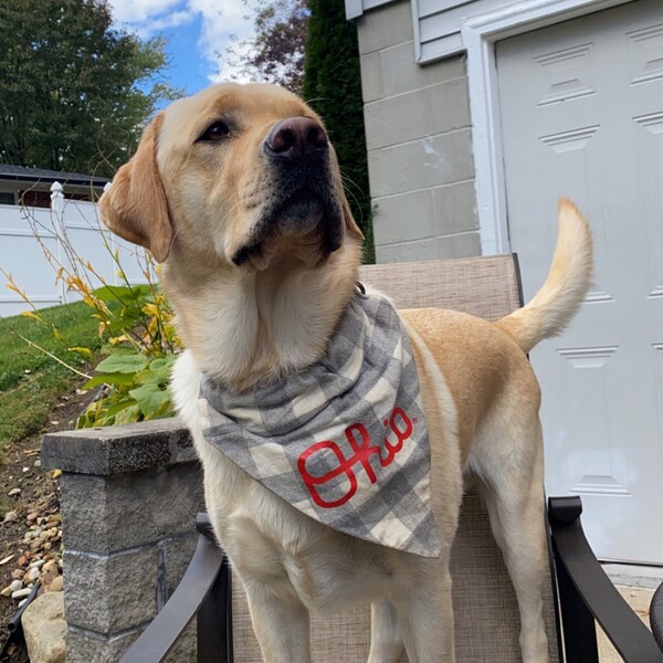 The Ohio State University Brutus Buckeye, Licensed, Over the Collar Dog ...