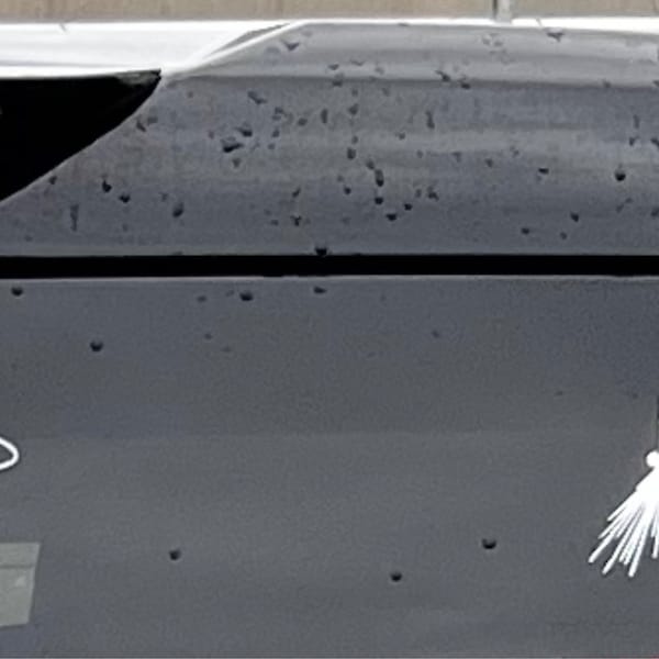 Fly Vinyl Decal, Fly Fishing Decal, Fly Fishing Vinyl Sticker, Fly ...