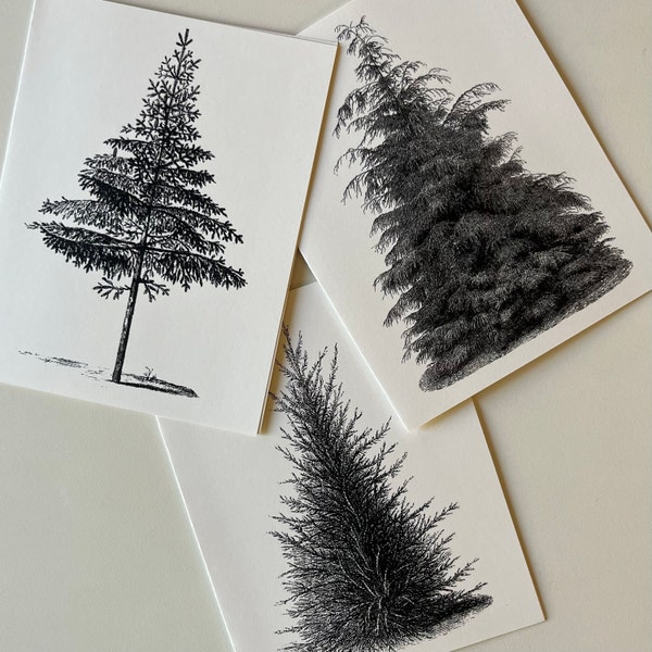 Pine Tree Note Card Set of 10 in White or Light Ivory With Matching ...