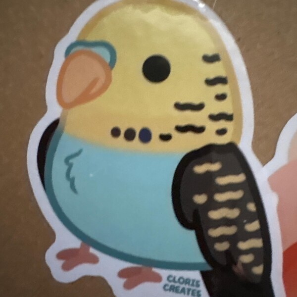 Ringnecked Dove Acrylic Bird Breed Keychain | Cartoon Kawaii Art Double ...