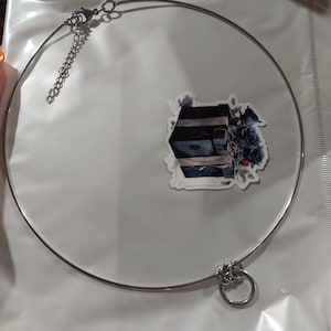 Owned and Owner Keychain Set BDSM Ddlg Master Slave Dom Sub Sir Kitten ...
