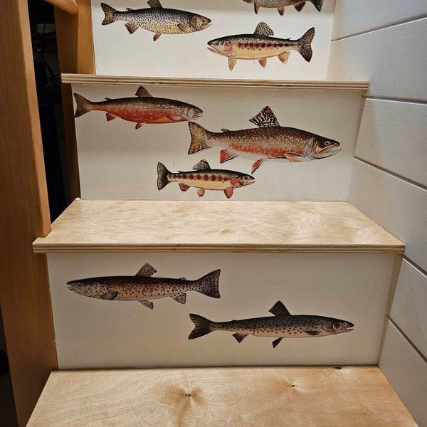 Trout Wall Decals - Set of 13 Fish Stickers - Great Gift for Fisherman ...